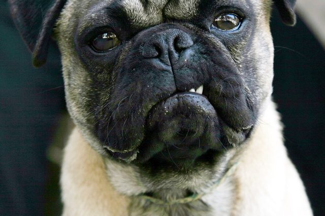 [VIDEO] Dealing With Disrespectful Body Language – Soft Skills for STEM ...